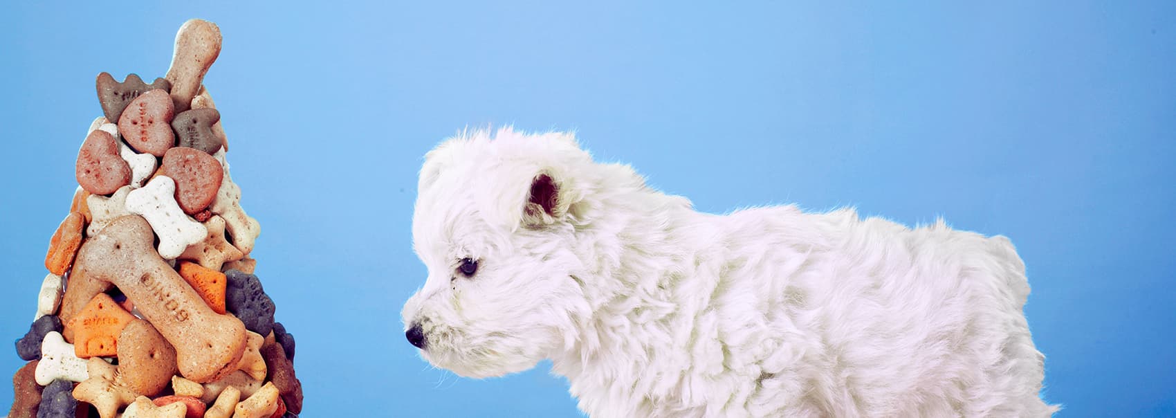 help stack up your savings see if roth contributions are right for you